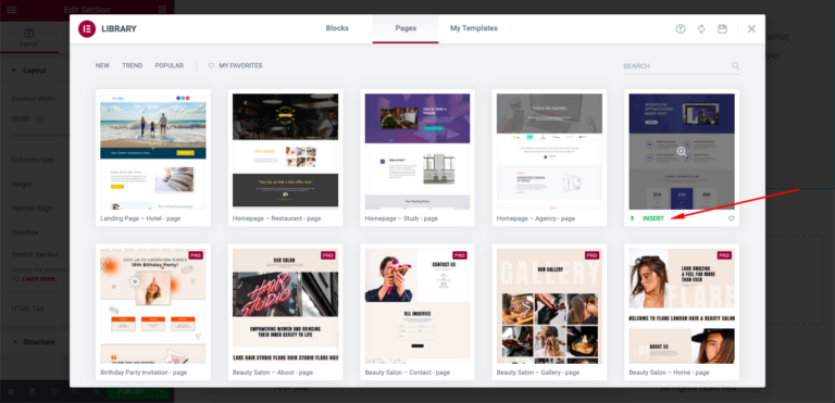 Elementor Hello Theme Review- Pros Cons Pricing Speed Test