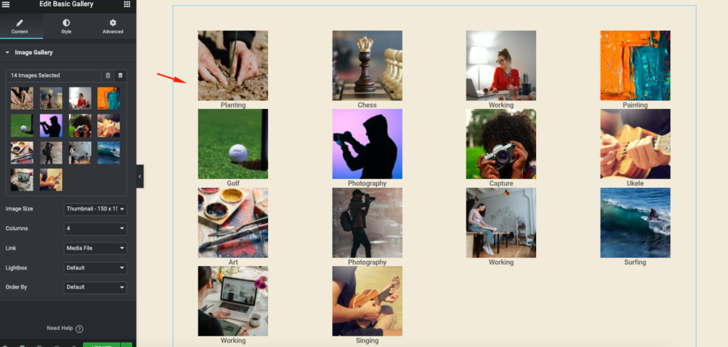 How To Smartly Use Elementor Image Gallery - Happy Addons
