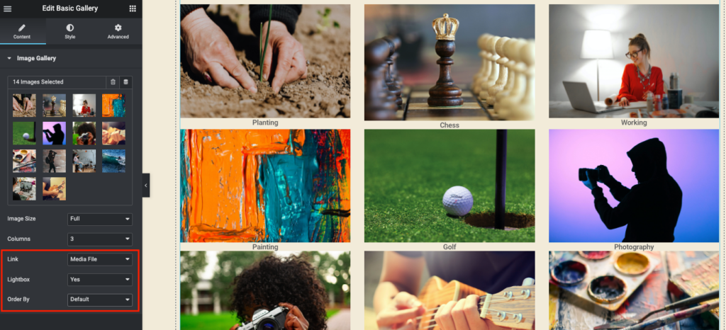 How To Smartly Use Elementor Image Gallery - Happy Addons