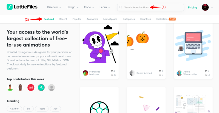 How To Add Lottie Animation In Elementor In 3 Easy Ways
